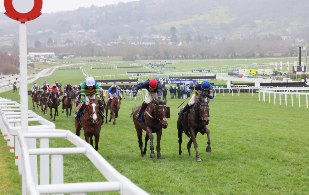 Coral Cup 2024 trends for Cheltenham 2.50 on Wednesday – Paddy Power News