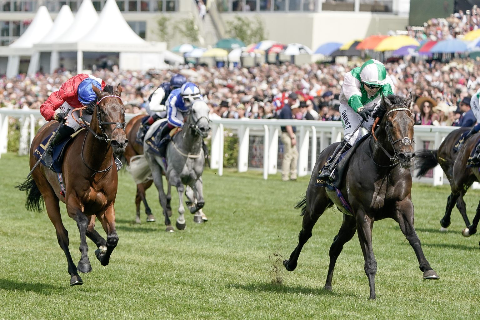How do odds work in horse racing? | Paddy Power News – Paddy Power News