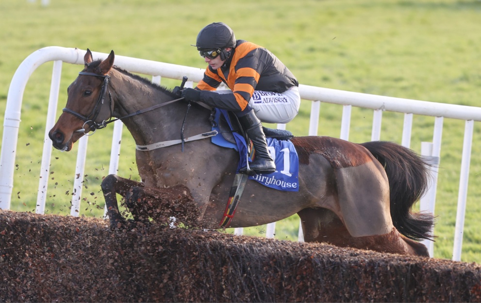 Irish Grand National weights: Fairyhouse 2024 handicap ratings – Paddy ...