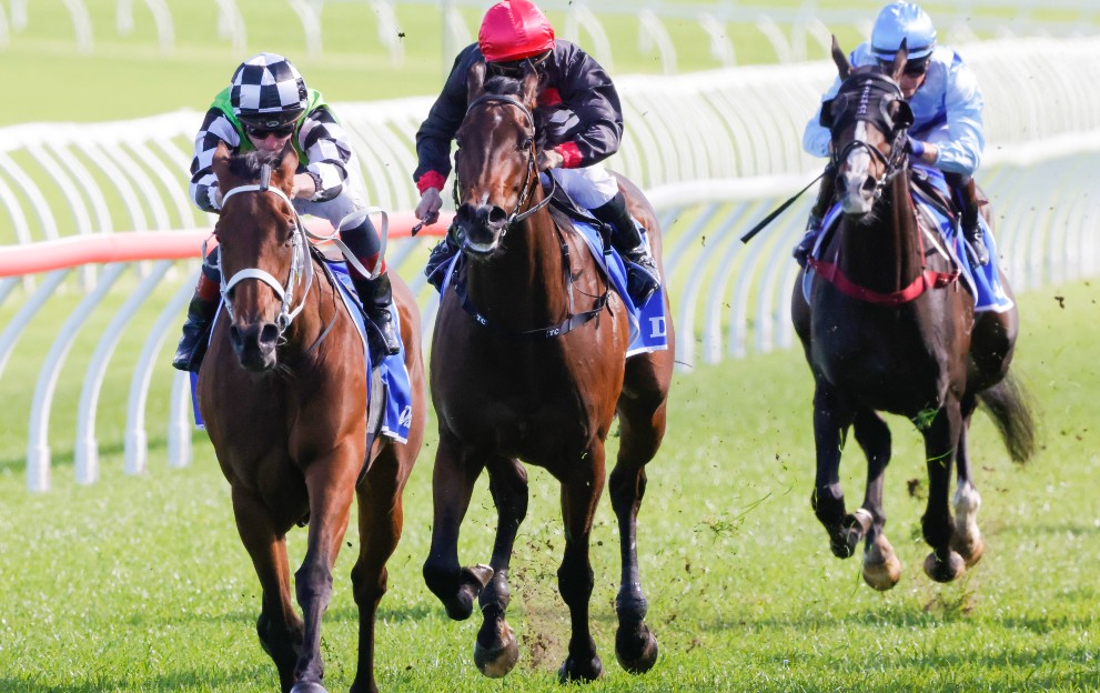 What is an each way Yankee? | Paddy Power News – Paddy Power News