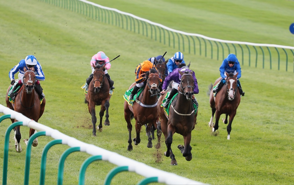 Craven Stakes tips and runners guide to Newmarket 3.35 on Thursday ...