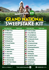 Grand National Sweepstake Kit: Download and share Paddy’s pack – Paddy ...