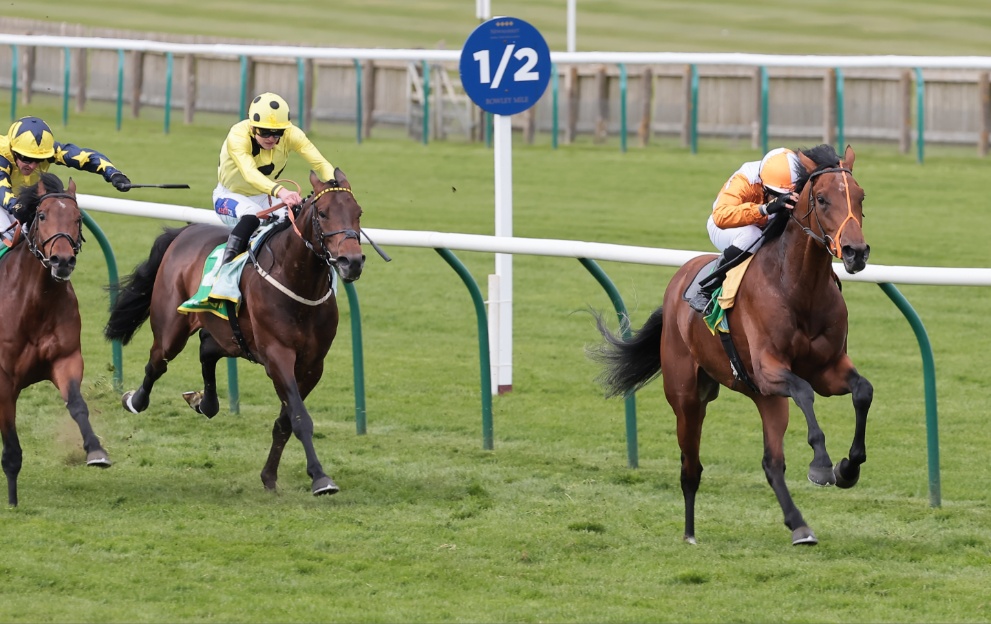 Dee Stakes tips and runners guide to Chester 3.05 on Thursday – Paddy ...