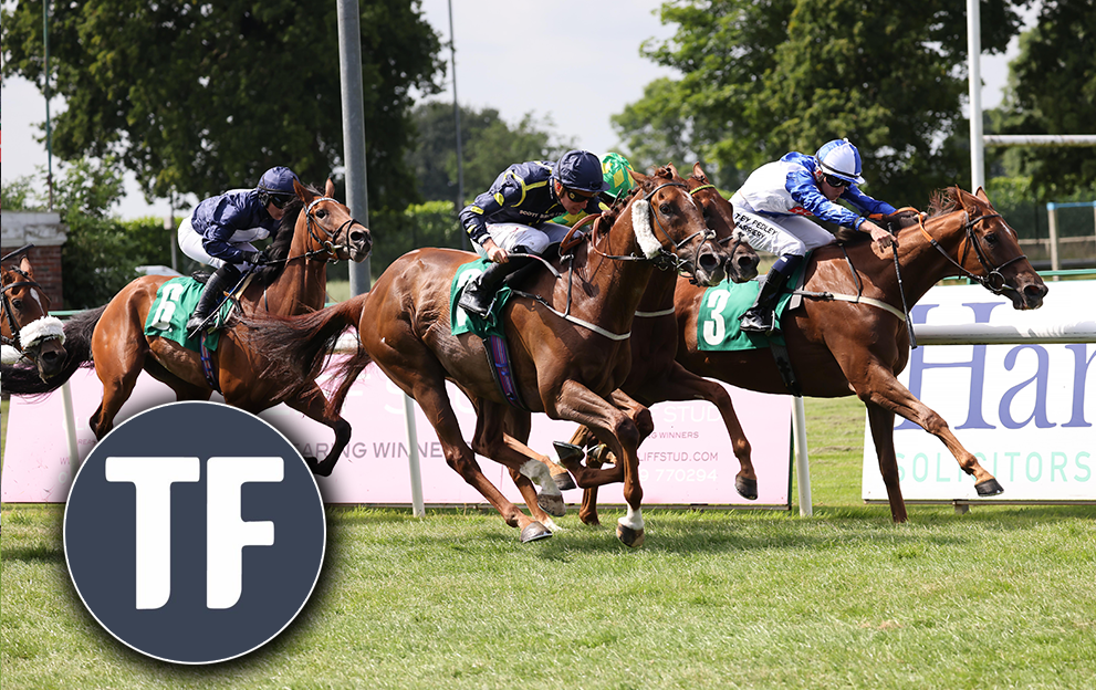 Horse Racing Tips: Timeform’s Wednesday Thirsk wagers – Paddy Power News