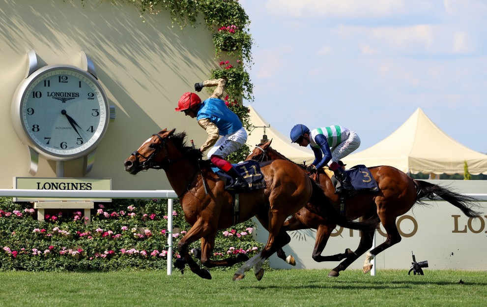 Your Ultimate Royal Ascot Betting Guide – Paddy Power News