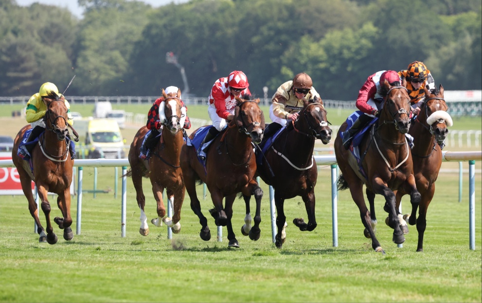 John Of Gaunt Stakes tips and runners guide to Haydock 3.35