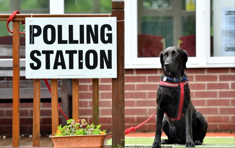 How many seats are needed to win a House of Commons majority? – Paddy ...