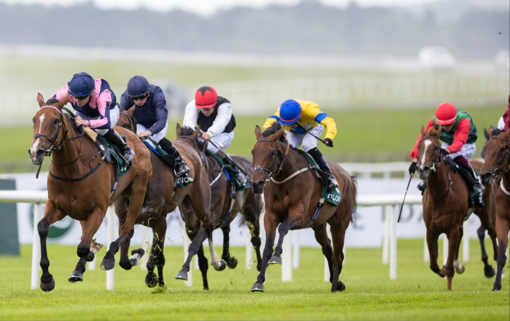 Pretty Polly Stakes tips and runners guide to Curragh 3.30 – Paddy ...