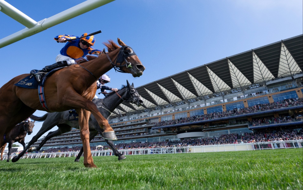 When is the Irish Oaks? Curragh date, time, runners and betting – Paddy ...
