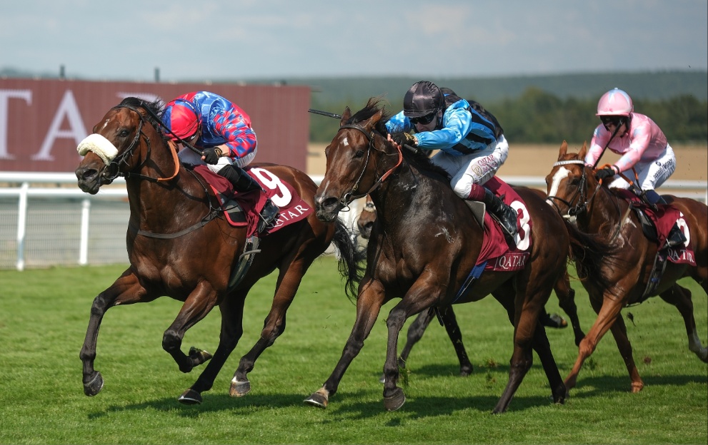 Nunthorpe Stakes tips and runners guide to York 3.35 on Friday – Paddy ...