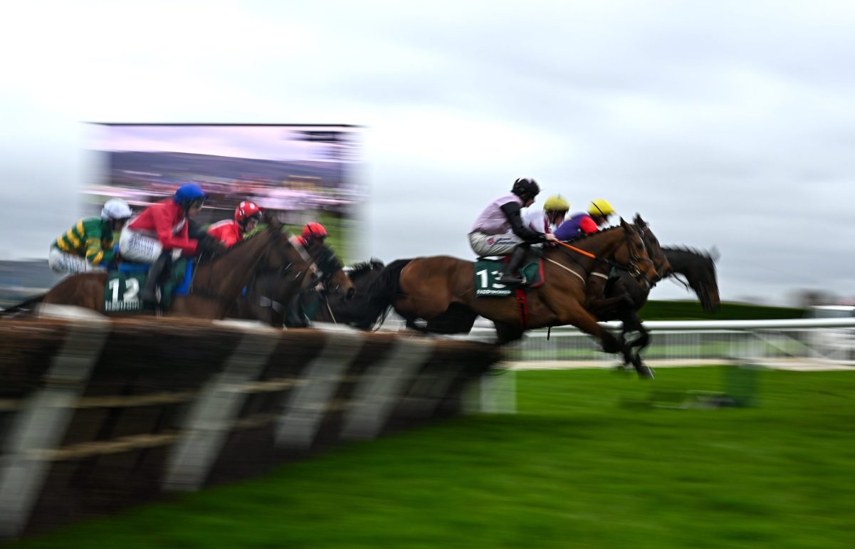 What are placepot dividends and how do they work? | Paddy Power News