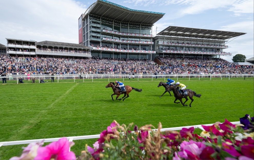 York racecard today: Ultimate guide to Ebor Festival day 2 – Paddy ...