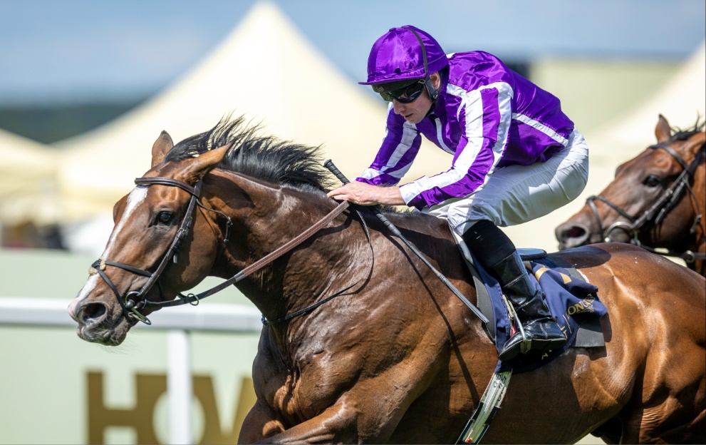 St Leger tips and runners guide to Doncaster 3.40 on Saturday – Paddy ...