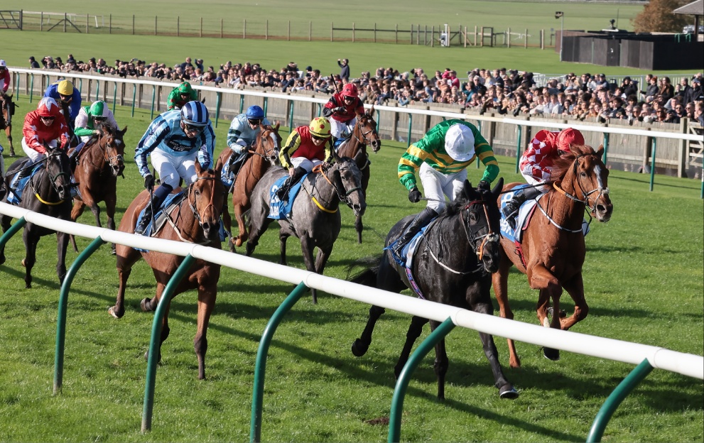 When is the Cesarewitch? Newmarket date, time, runners, betting – Paddy ...