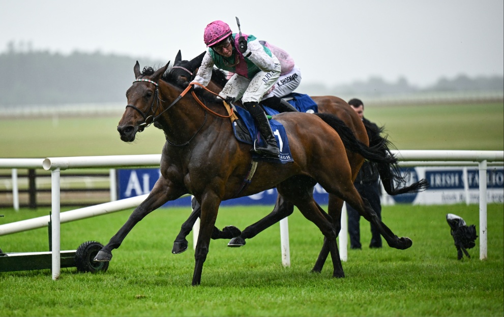 Prix de l’Arc de Triomphe tips and runners guide to Longchamp 3.20 ...
