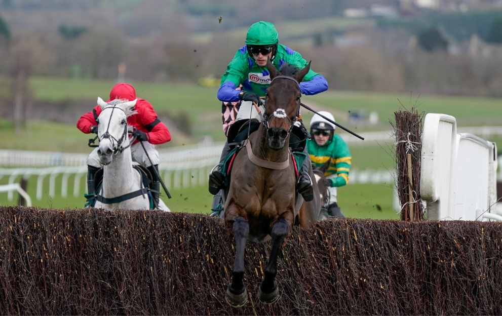 Paddy Power Gold Cup tips and runners guide to Cheltenham 2.20 – Paddy ...