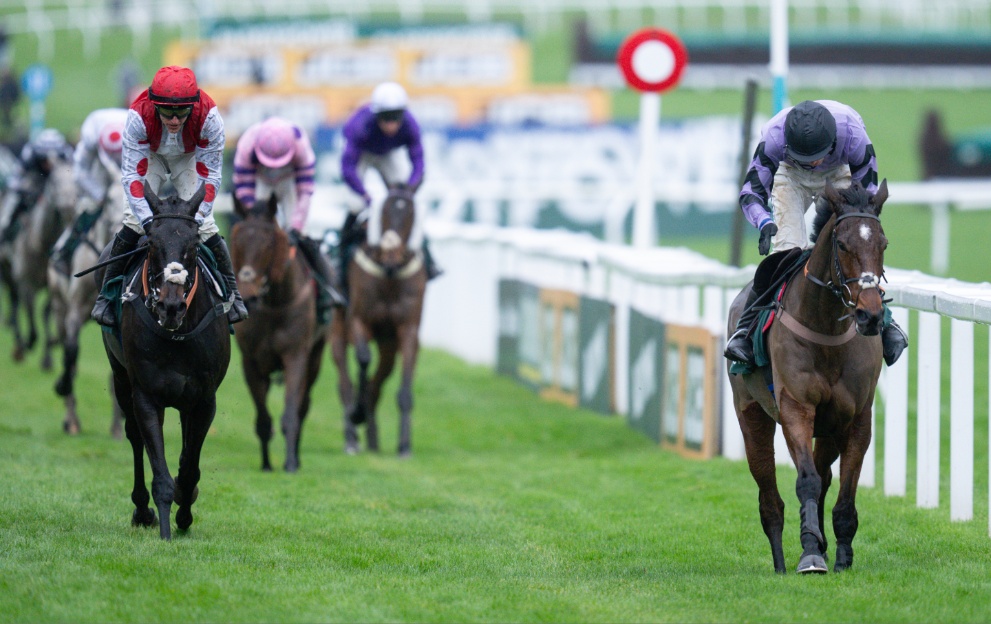 When is the Paddy Power Gold Cup? Cheltenham date, time, runners ...