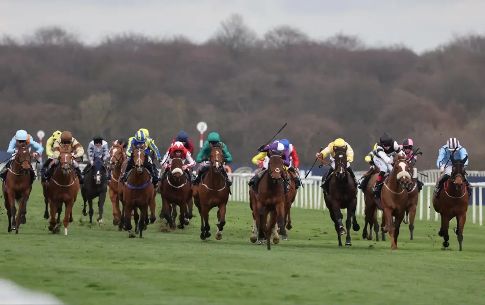 Lincoln Handicap 2025 trends for Doncaster 3.35 on Saturday – Paddy ...