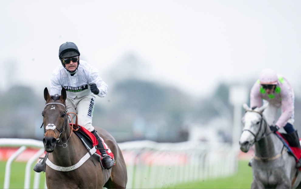 Aintree Hurdle trends for Thursday 3.30 based on previous winners ...