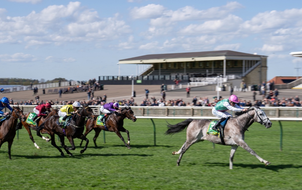 Horse Racing Tips: 5 runners to note at Royal Ascot next week – Paddy ...