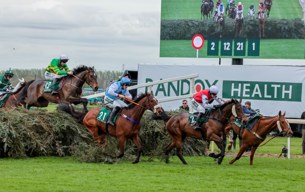 Aintree Race Card Today: Ultimate guide to Day 1 on Thursday – Paddy ...