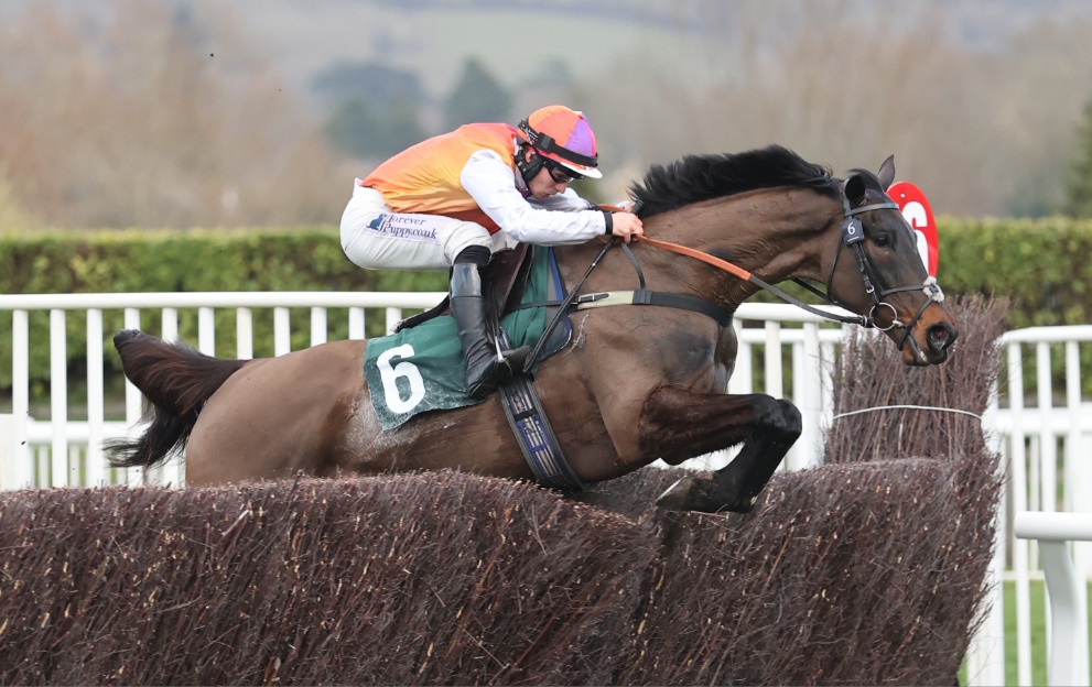 Horse Racing Tips: to follow this jumps season – Paddy Power News