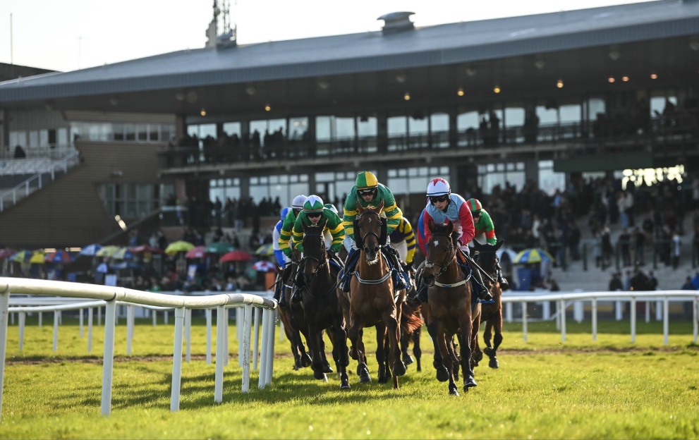 RYBO Handicap Hurdle tips and runners guide to Fairyhouse 5.05 – Paddy ...