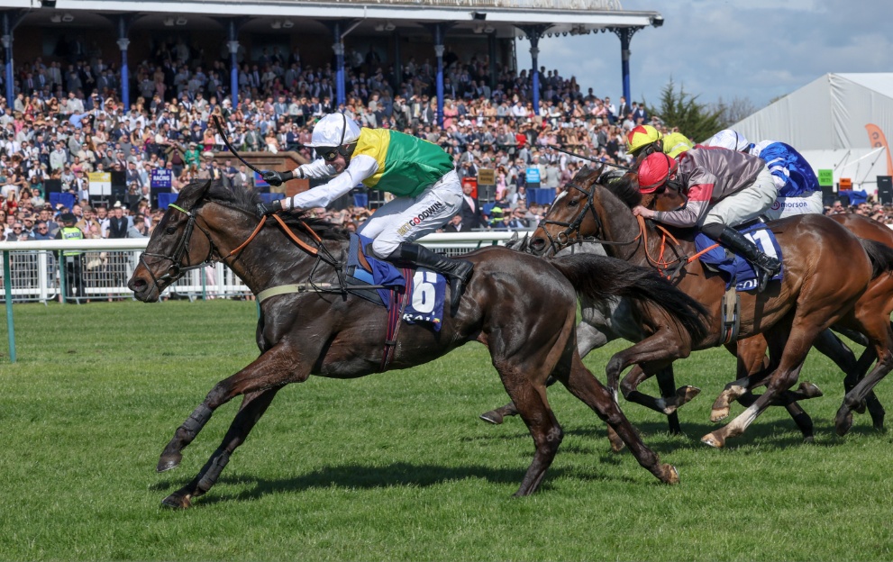 Ayr Race Card Today: Ultimate guide to Scottish Grand National Saturday