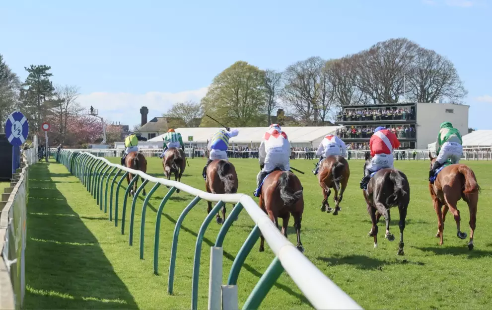 Scottish Grand National 2026 date, time, runners and odds – Paddy Power ...
