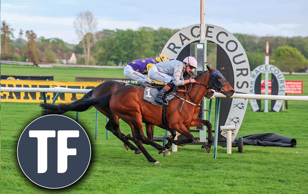Horse Racing Tips: Timeform’s Ayr shouts on Tuesday – Paddy Power News
