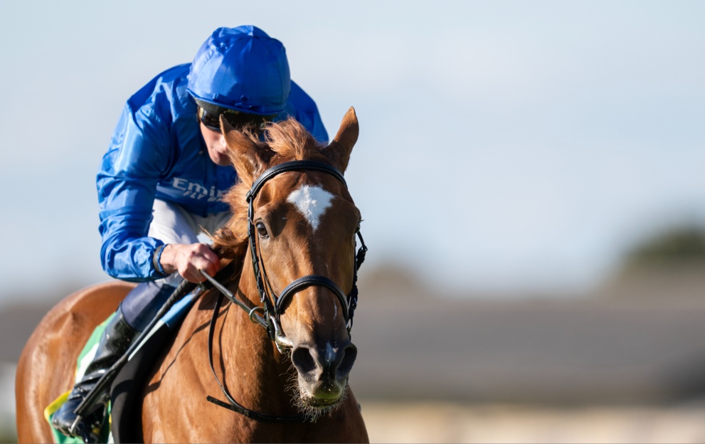 Horse Racing Tips: 6 Horses to light up the UK flat racing season ...