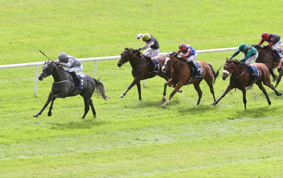 Lucky 15 Tips Today: Sunday’s Best Bets across the tracks using our ...