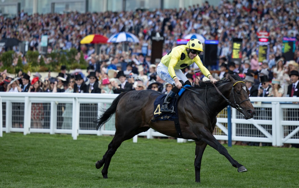 Queen Elizabeth II Jubilee Stakes tips and runners guide to Ascot 3.40 ...