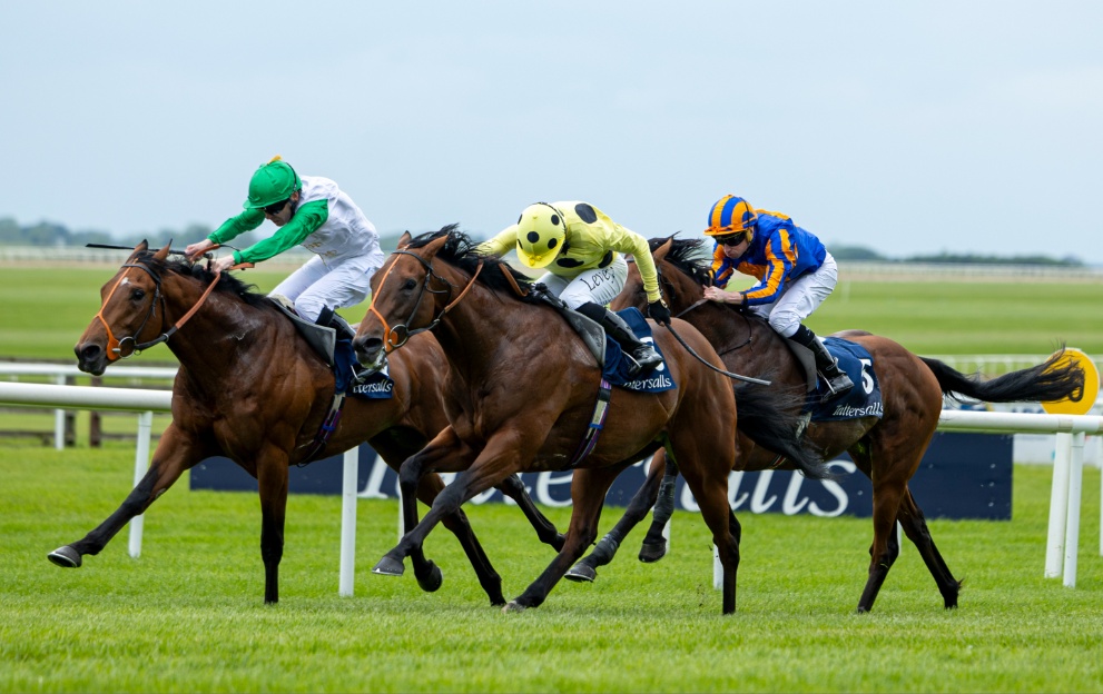 When is the Irish 2000 Guineas? Curragh date, time, runners and betting ...