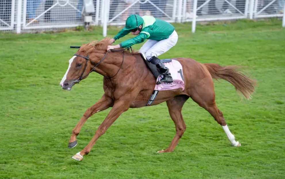 Who is favourite to win the Epsom Derby? – Paddy Power News