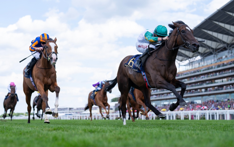 Royal Ascot Race Card Today: Ultimate guide to Day 4 on Friday
