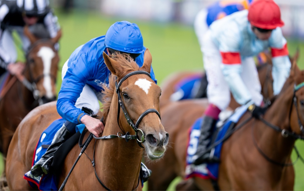 Epsom Race Card Today: Ultimate guide to Oaks Day on Friday – Paddy ...