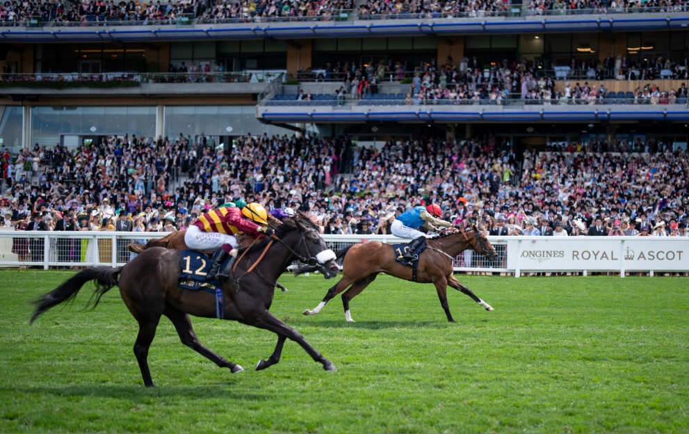 Lucky 15 Tips: Saturday’s best bets using our NAPs table – Paddy Power News