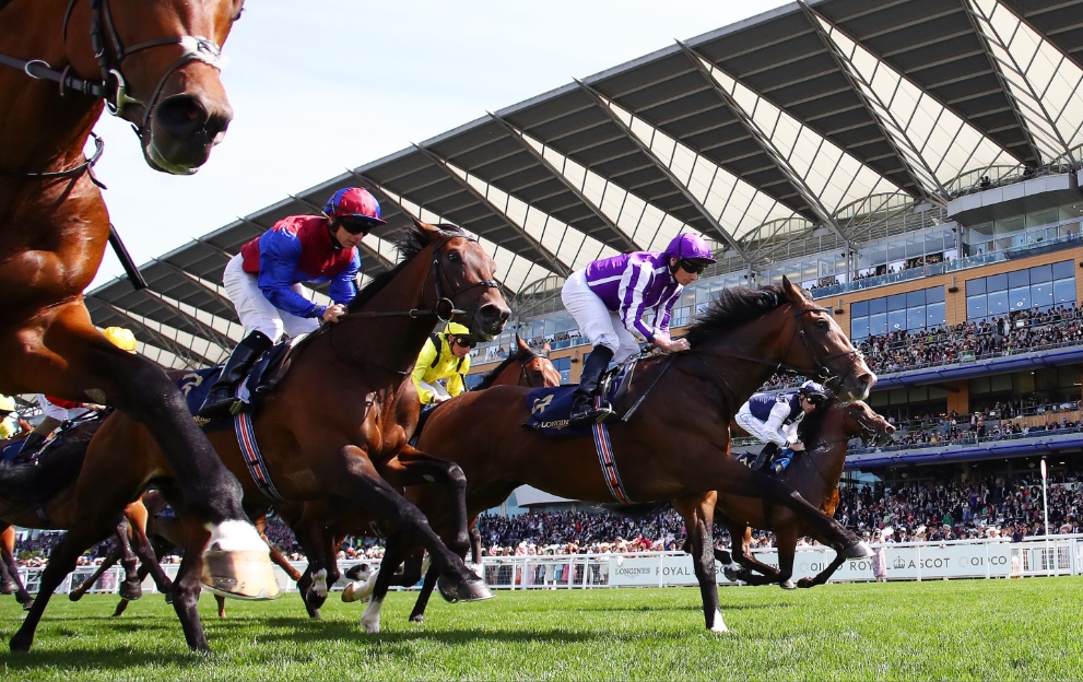 Royal Ascot Race Card Today: Ultimate guide to Day 2 on Wednesday ...