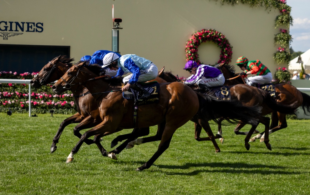 Ascot 5.00 tips: Today’s Royal Hunt Cup bets and predictions – Paddy ...