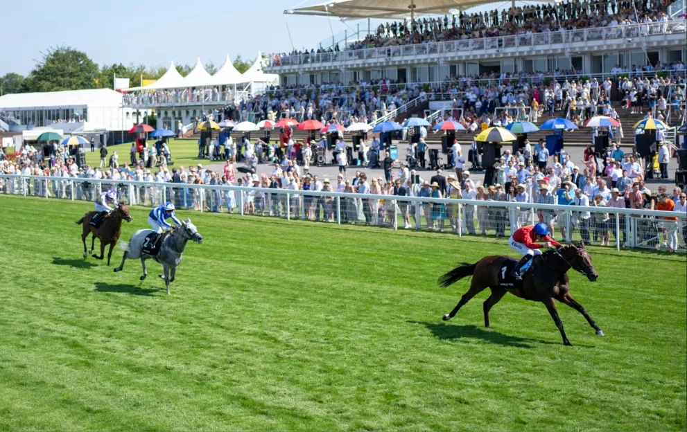 Goodwood Race Card Today: Ultimate guide to Day 1 on Tuesday – Paddy ...