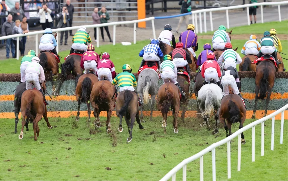 Galway Plate trends for Wednesday 6.40 based on previous winners ...