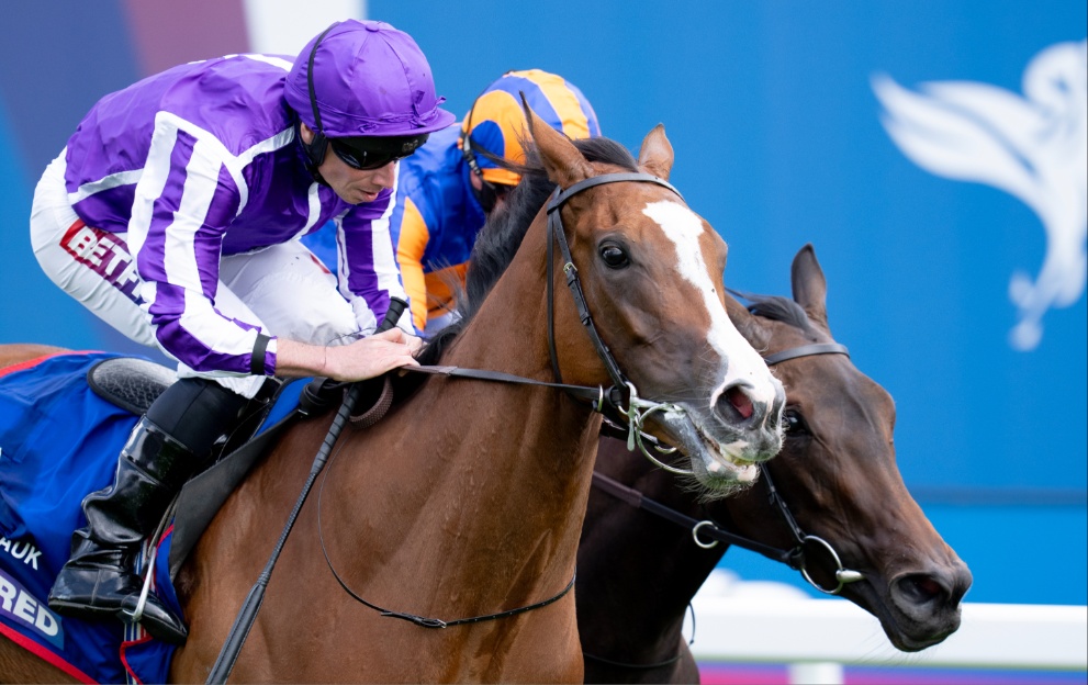 When is the Irish Oaks? Curragh date, time, runners and betting – Paddy ...