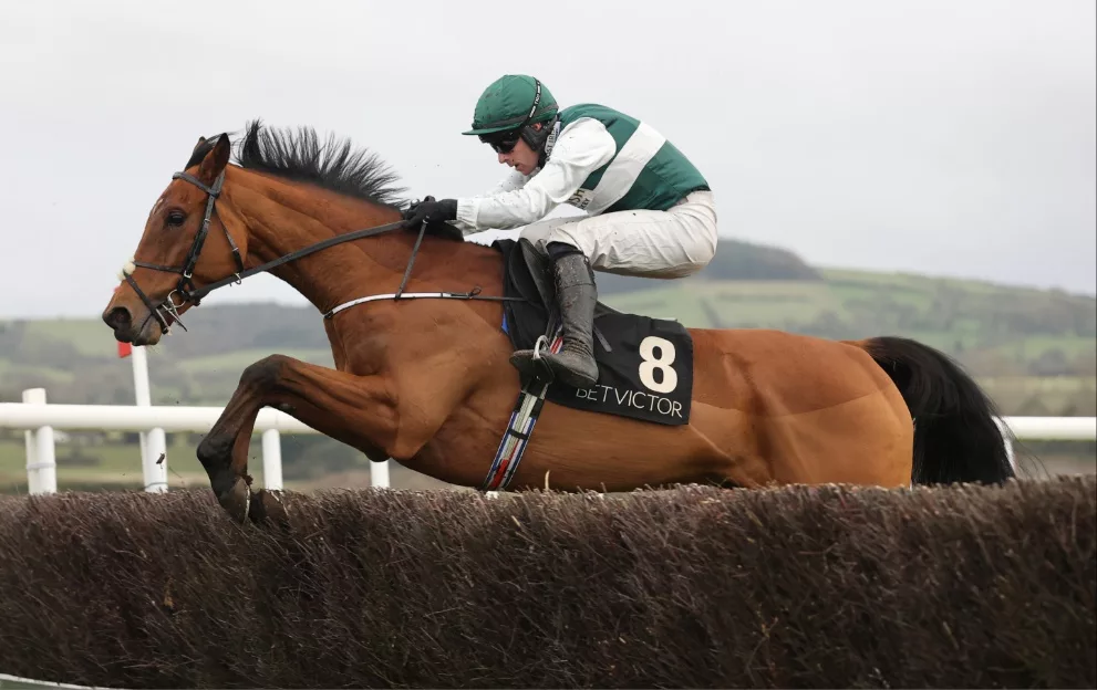 Galway Plate tips and runners guide to Galway 6.40 on Wednesday – Paddy ...