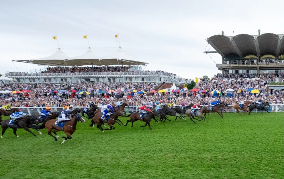 Stewards’ Cup tips and runners guide to Goodwood 3.05 on Saturday ...