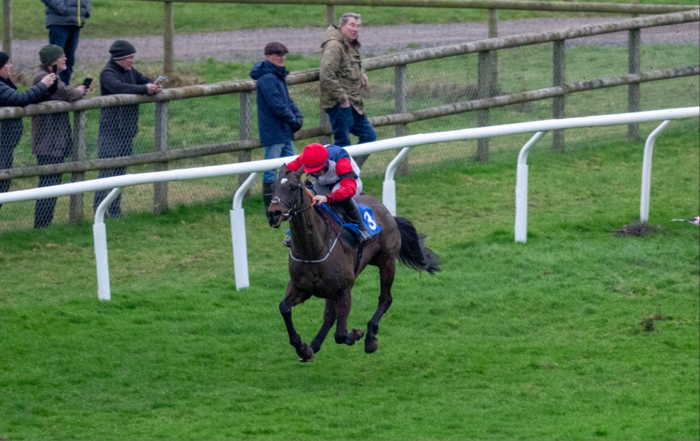 Summer Plate tips and runners guide to Market Rasen 3.12 on Saturday ...