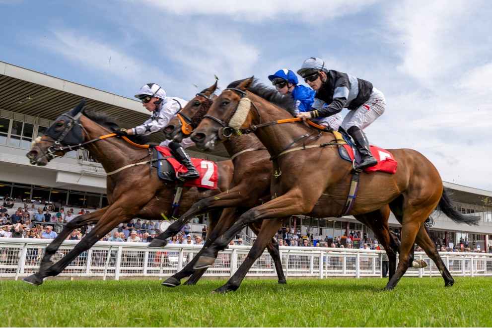 When does the flat racing season start and end? | Paddy Power News ...