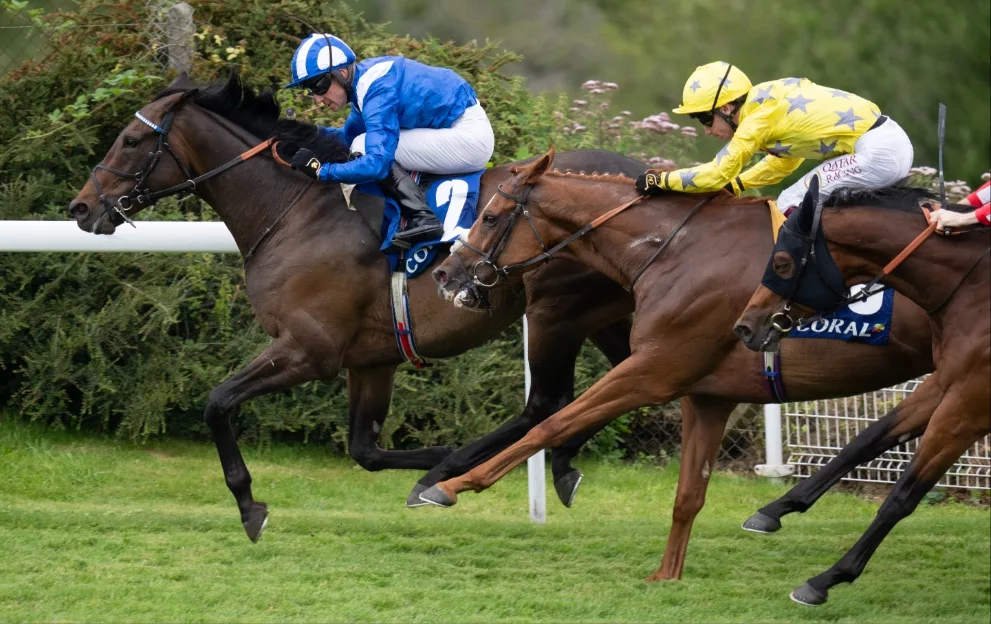 Goodwood Race Card Today: Ultimate guide to Day 5 on Saturday