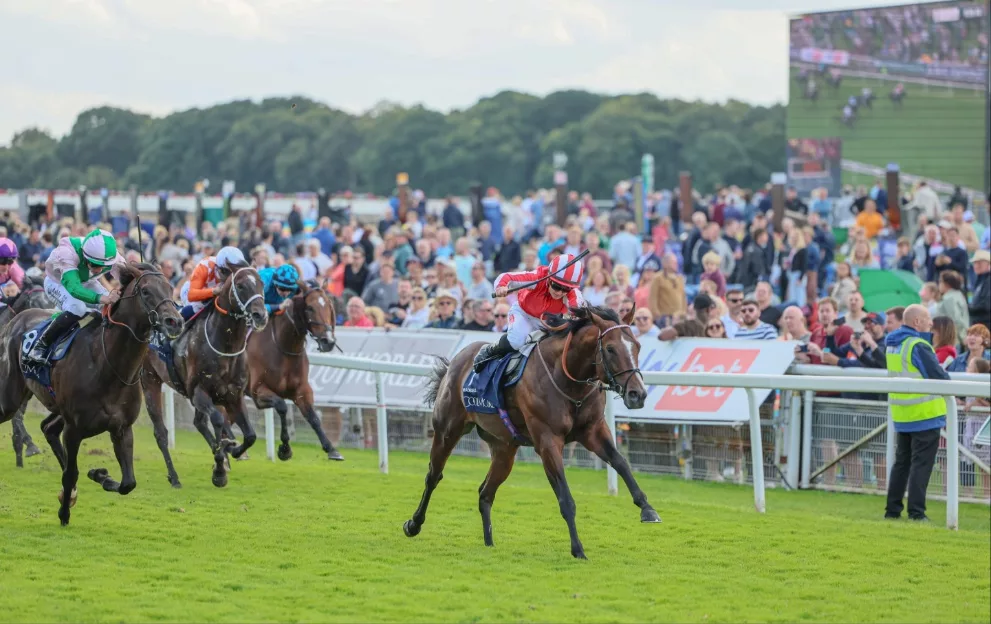 York Race Card Today: Ultimate guide to Ebor Festival Day 3 on Friday ...