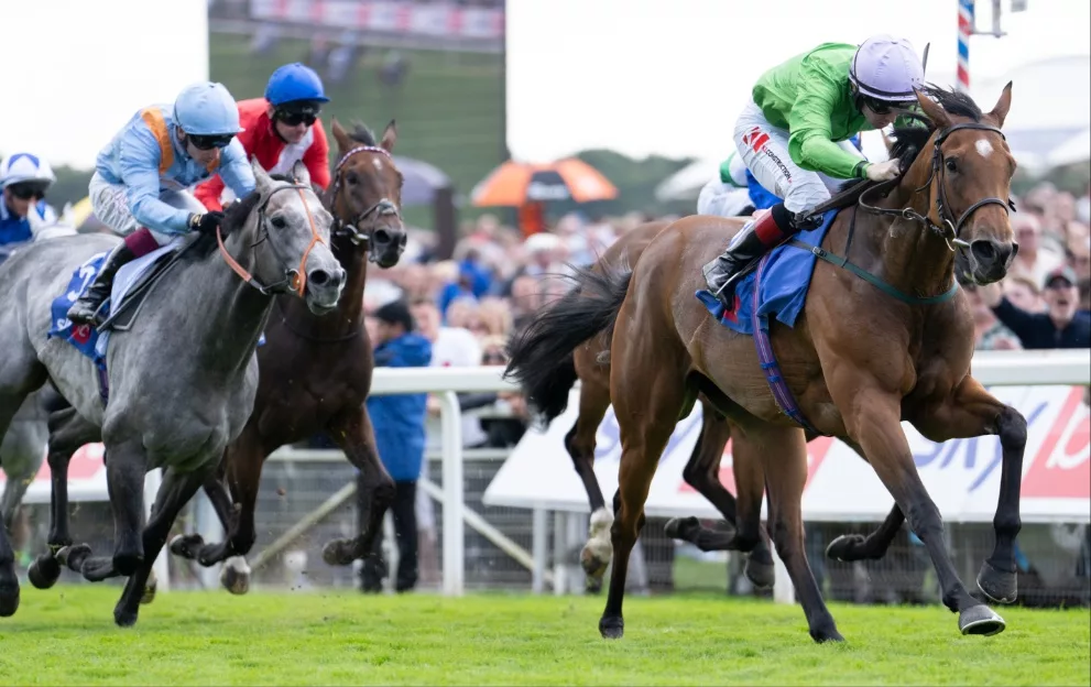 York Race Card Today: Ultimate guide to Ebor Festival Day 4 on Saturday ...